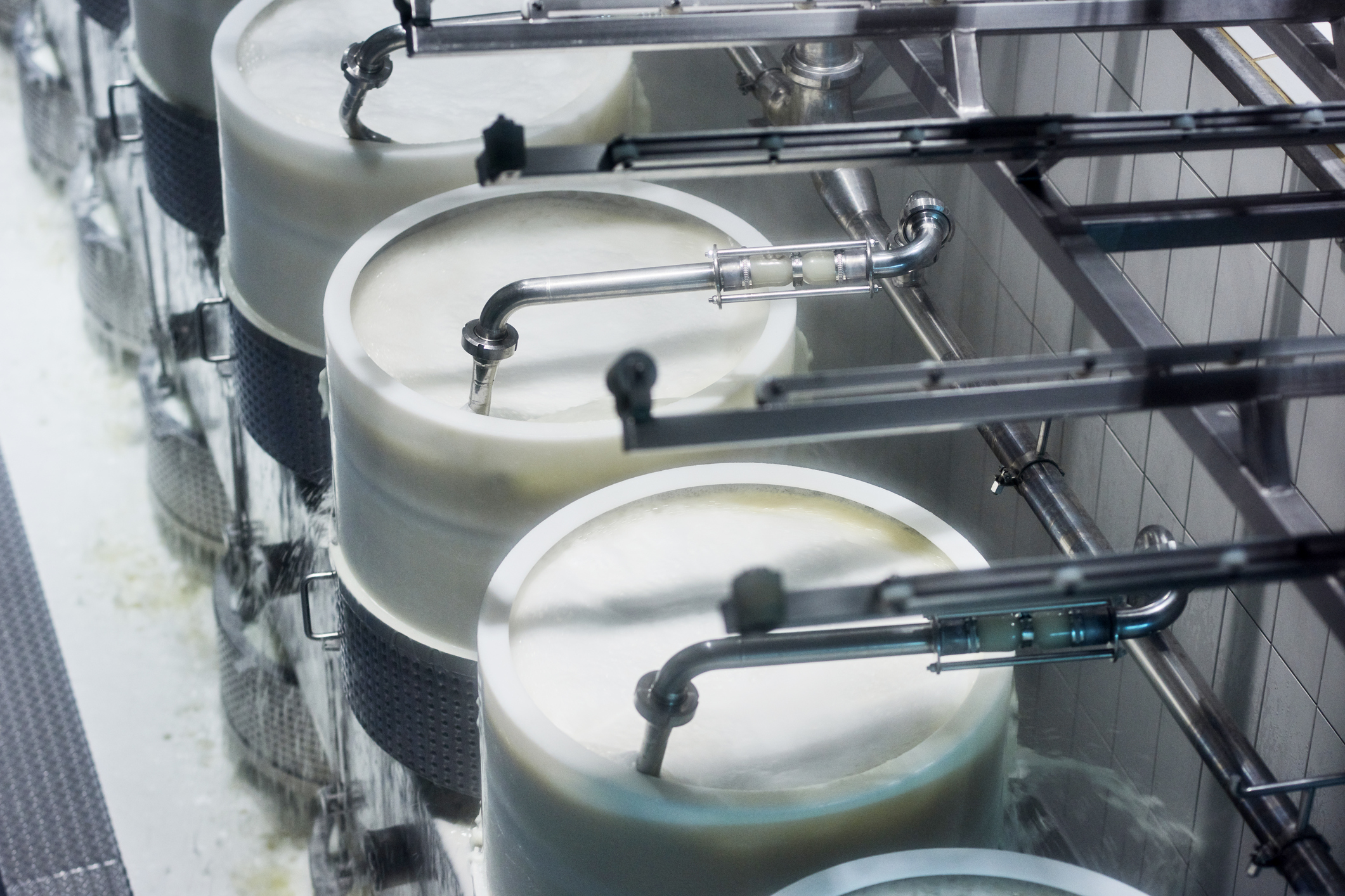 Bioconversion – Swiss Food Research